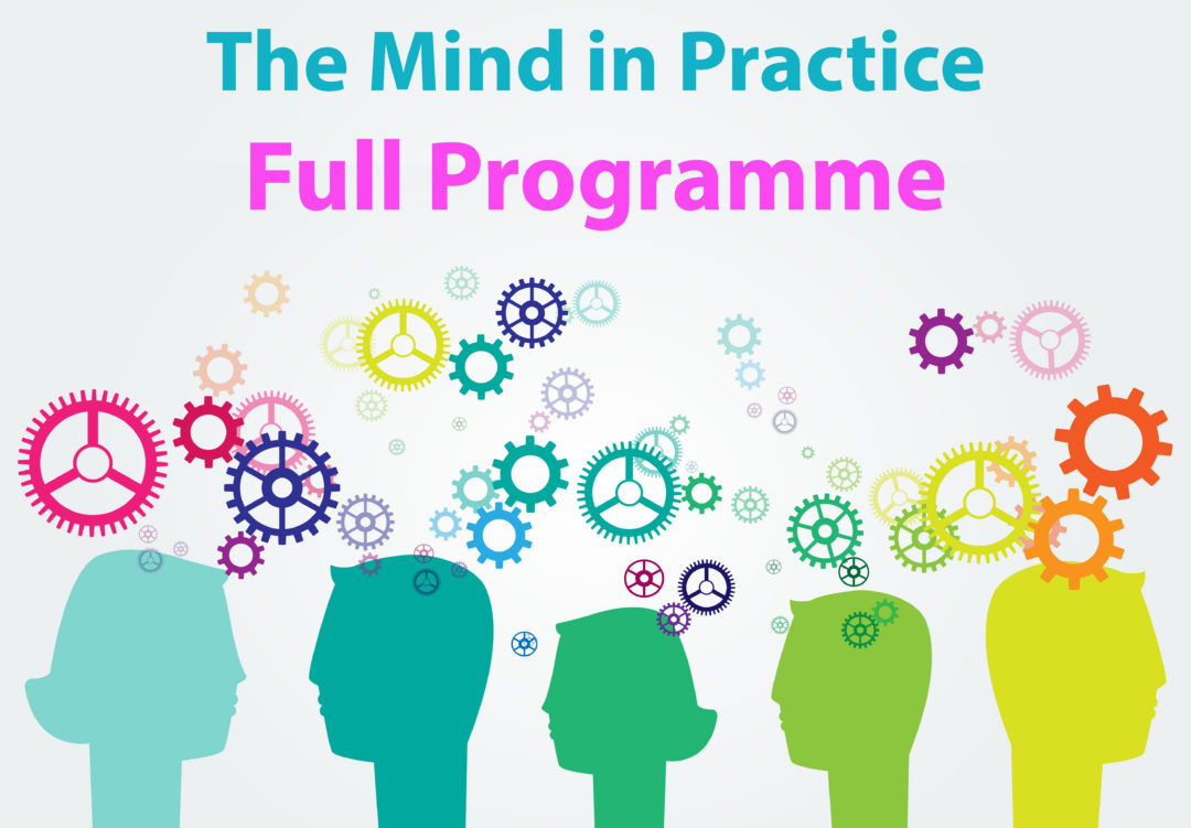 The Mind in Practice - Human Mind Project